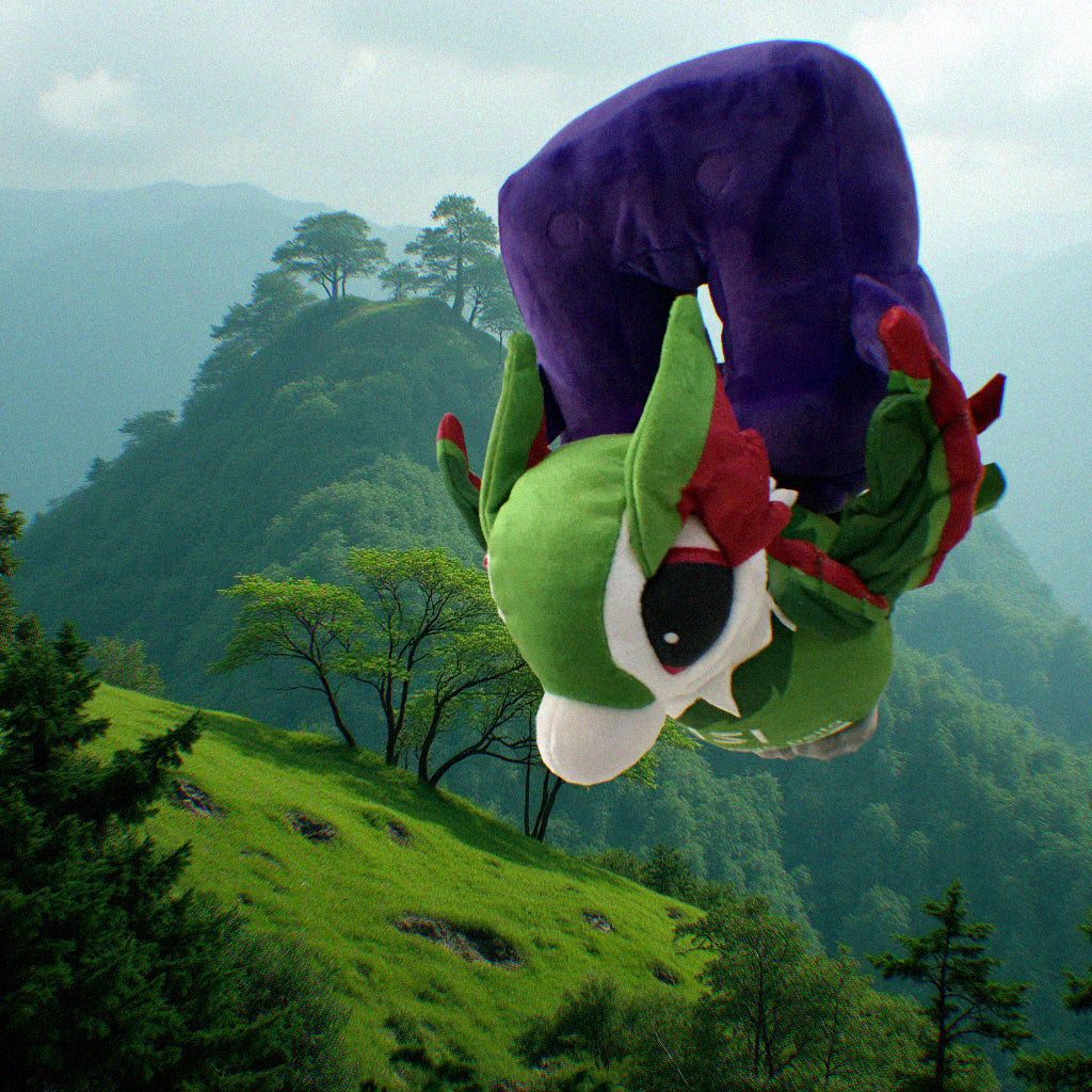 Announcing September’s Pucci Photo Contest Winners!